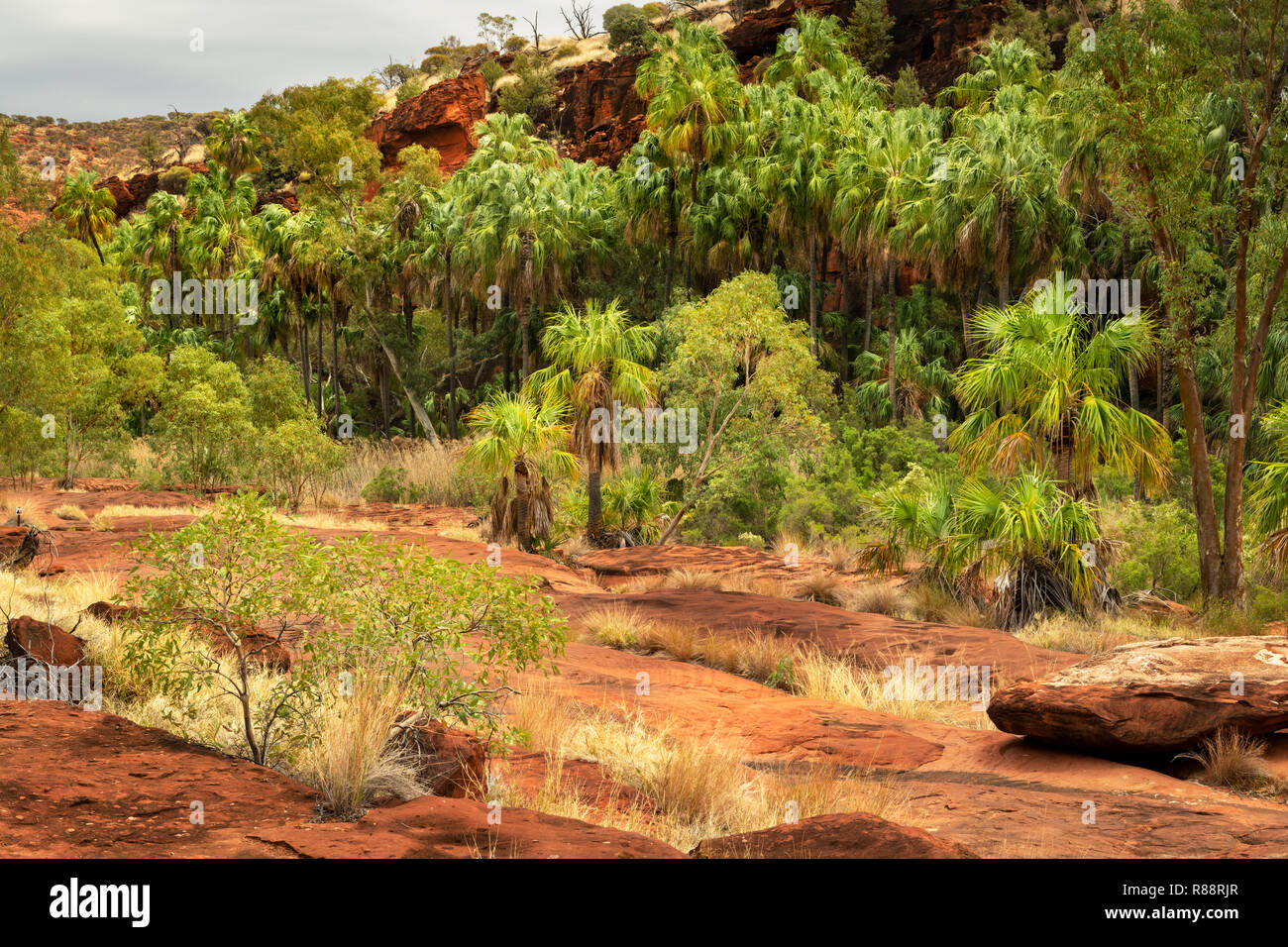 Expedition national park hi-res stock photography and images - Alamy
