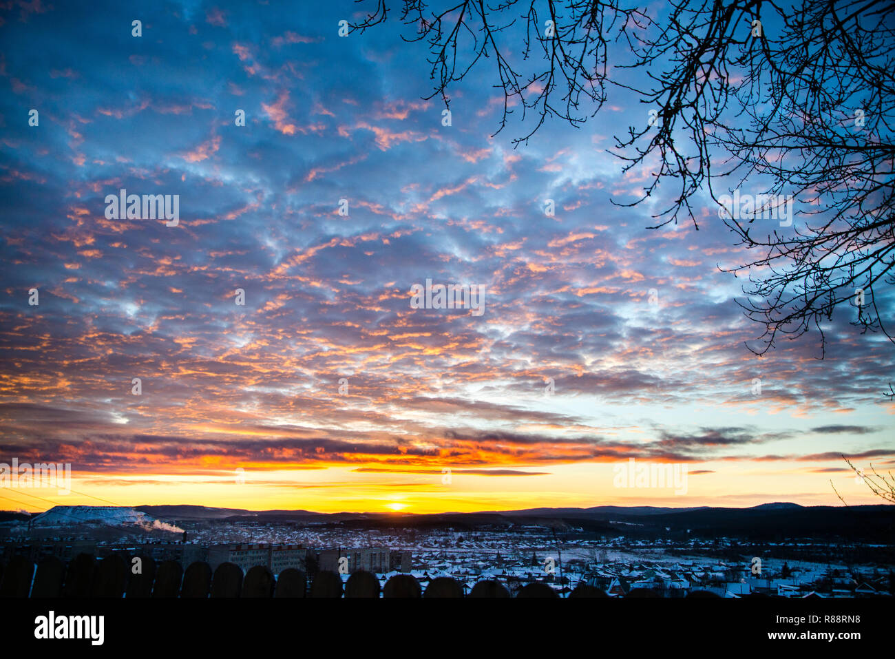 tragic sky, yellow-pink clouds, sunrise, bright colors tree branches ...
