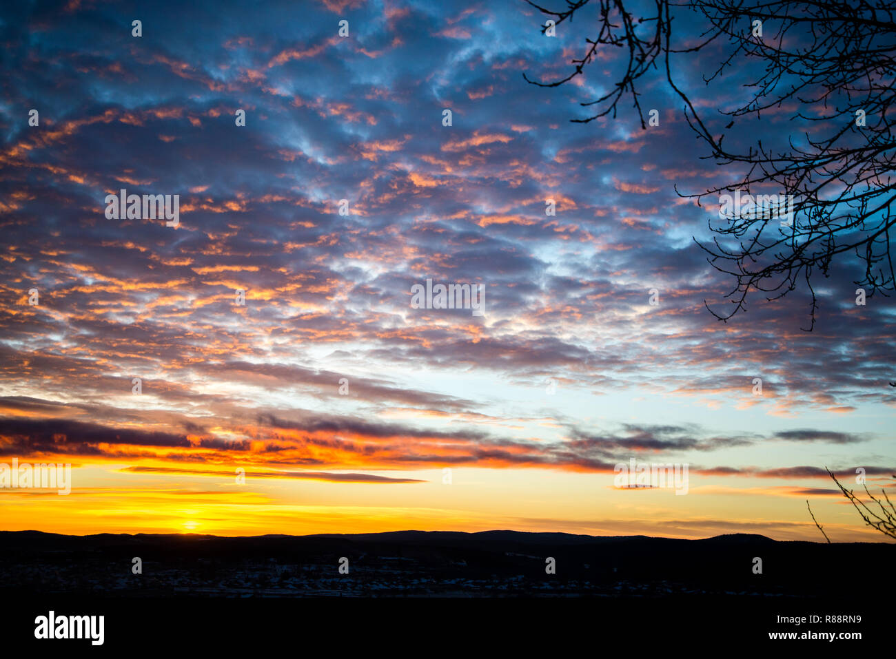 tragic sky, yellow-pink clouds, sunrise, bright colors tree branches ...