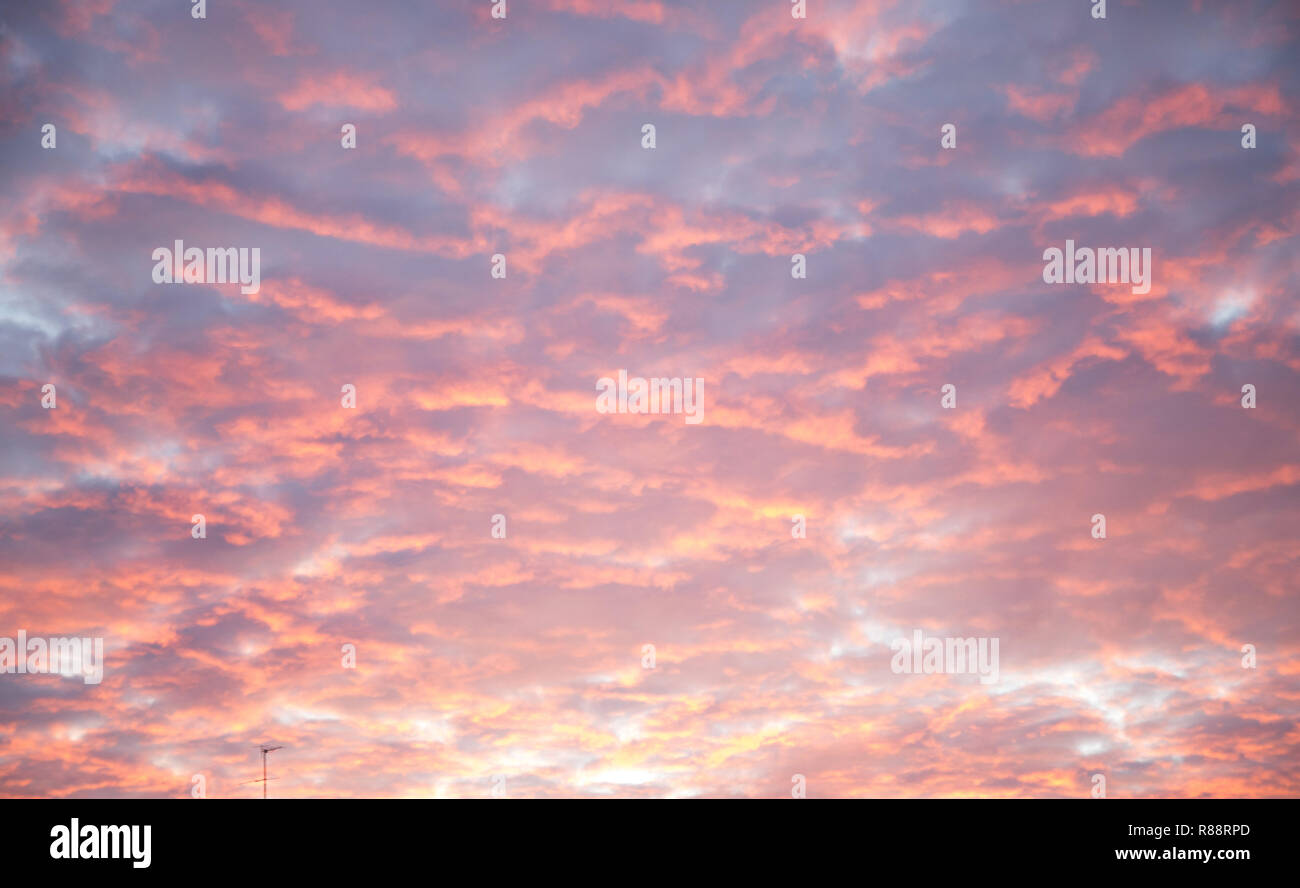yellow-pink clouds fill the whole image Stock Photo - Alamy