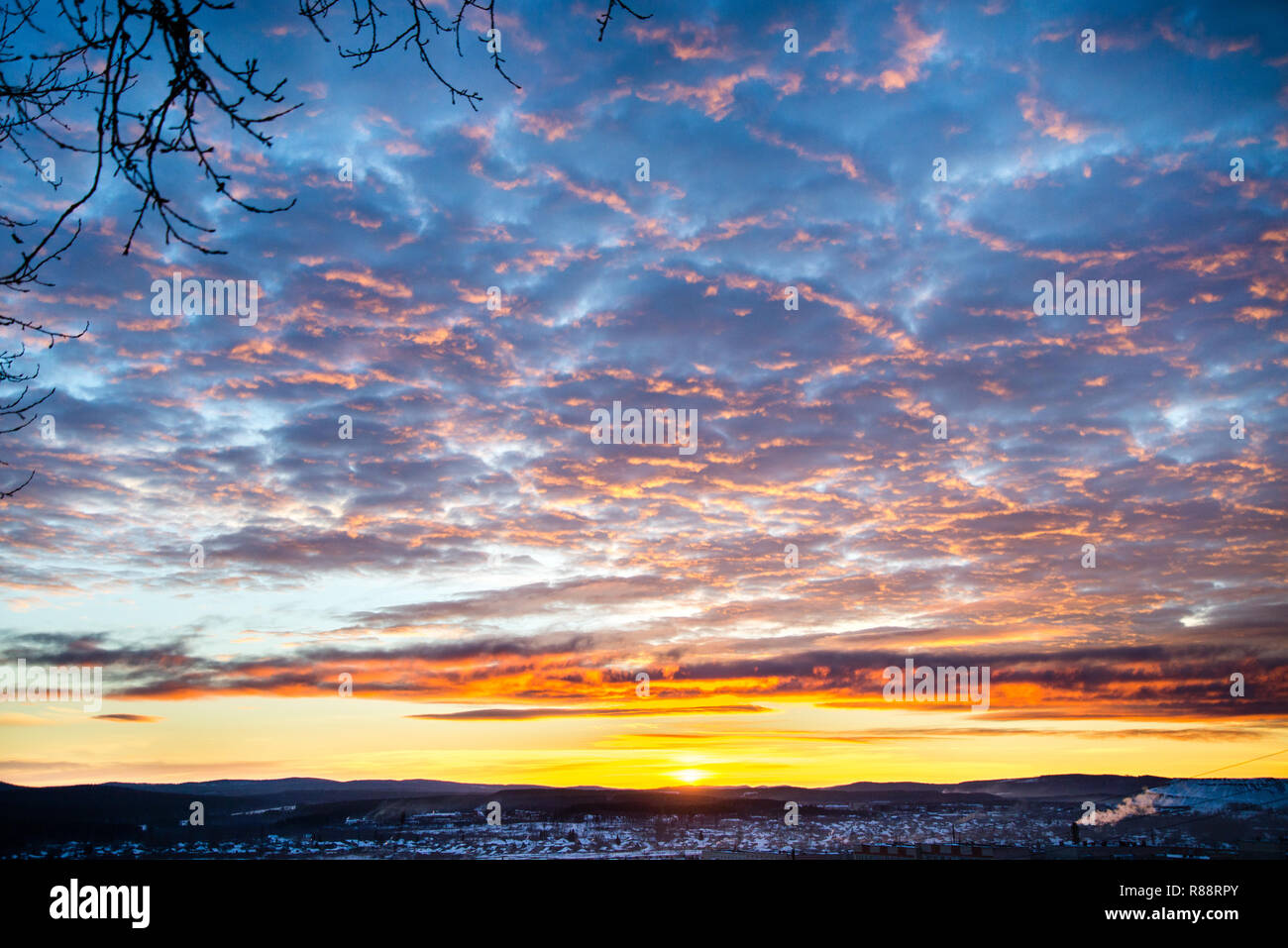tragic sky, yellow-pink clouds, sunrise, bright colors tree branches ...