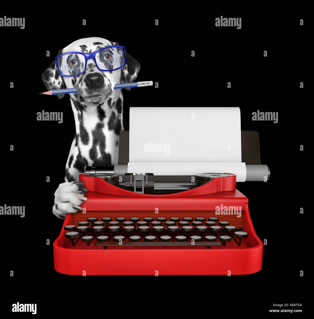 Dalmatian dog is typing on a typewriter keyboard. Isolated on black ...
