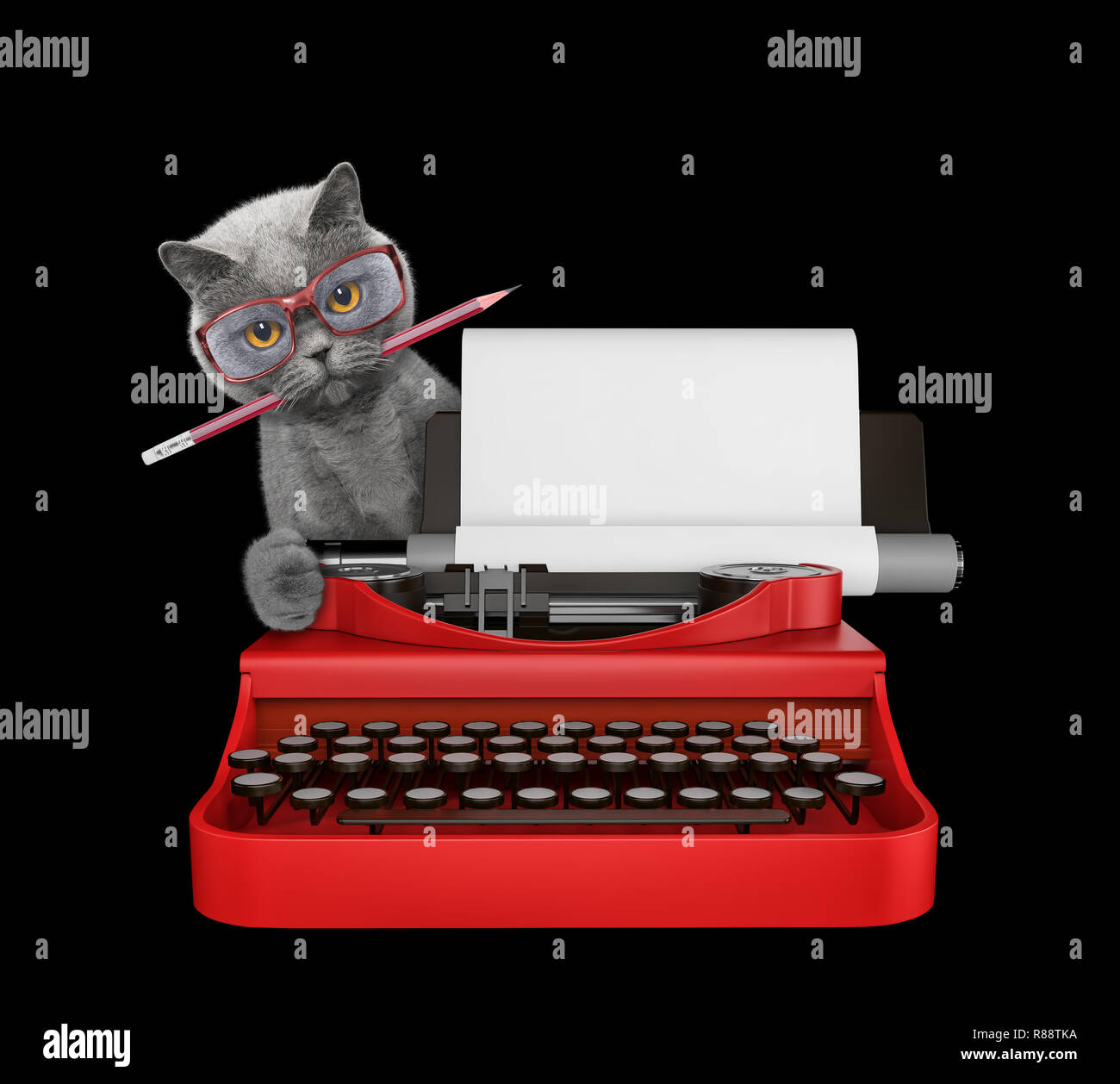 Cute cat is typing on a typewriter keyboard. Isolated on black ...