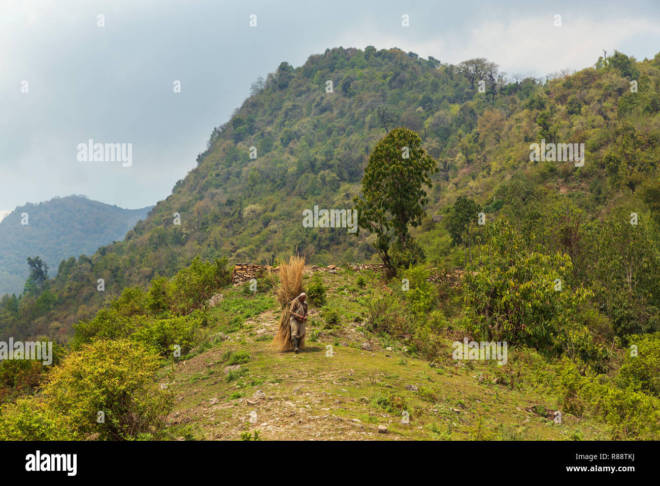 Nepali landscape hi-res stock photography and images - Alamy
