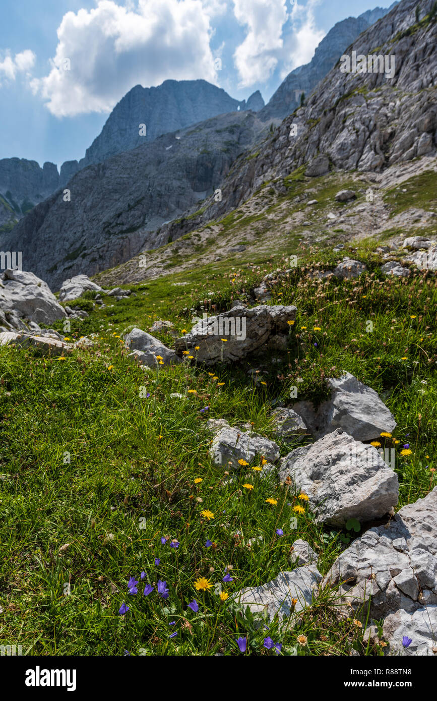 Botanical garden of Monte Canin. Karst landscape between rocks and high ...