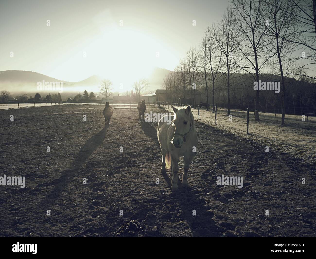 Muddy Ditch High Resolution Stock Photography and Images - Alamy