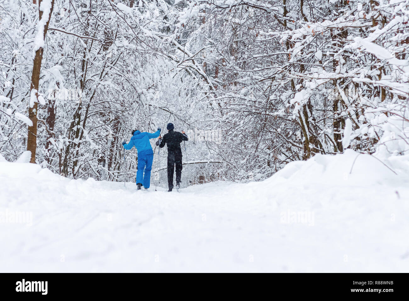 Walk walk park winter hi-res stock photography and images - Alamy