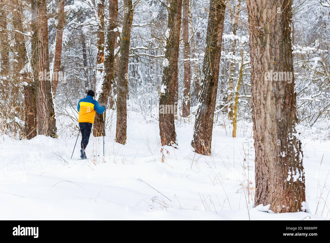 Man walk road snow tree hi-res stock photography and images - Alamy