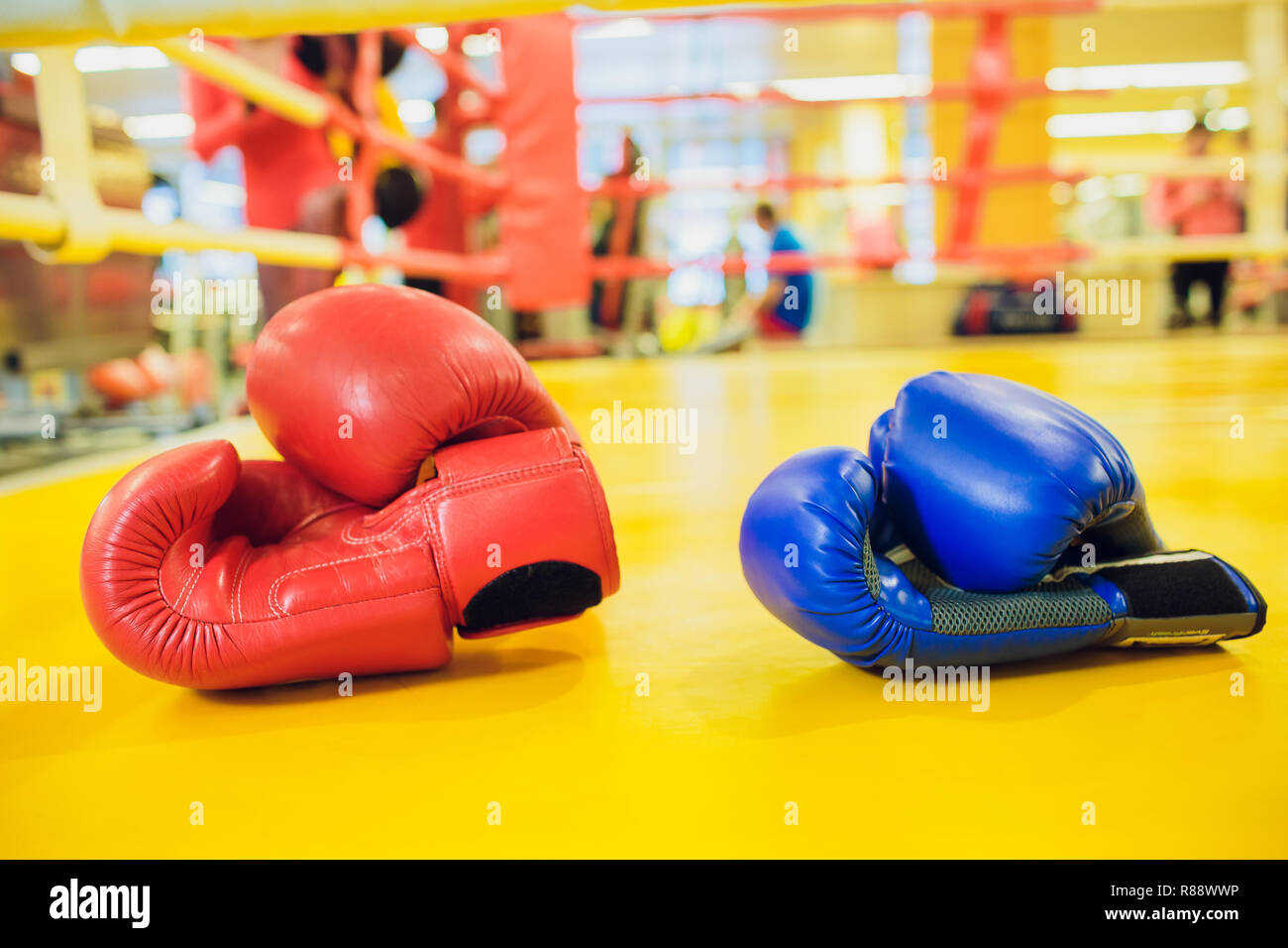 Red And Blue boxing gloves hanging on a Blue wall IN Gym Fitness Stock ...