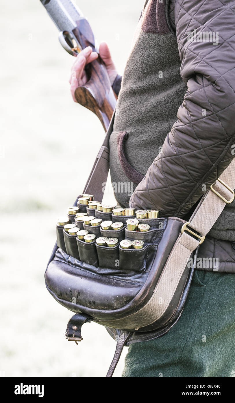 A 'loader' with shotgun cartridges ( shells ) during a pheasant shoot ...