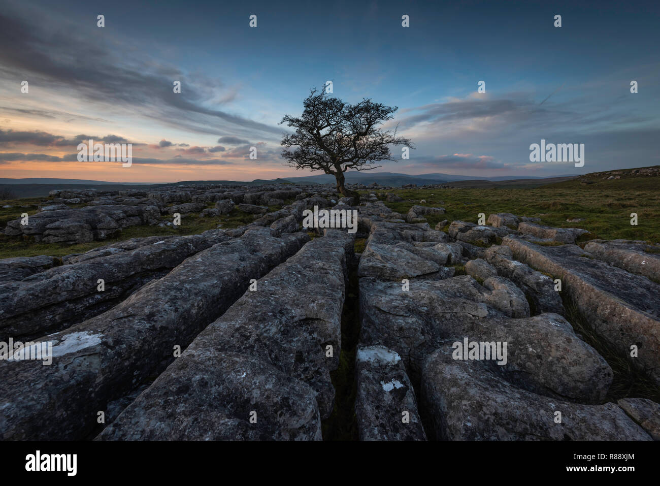 Lone tree yorkshire hi-res stock photography and images - Alamy