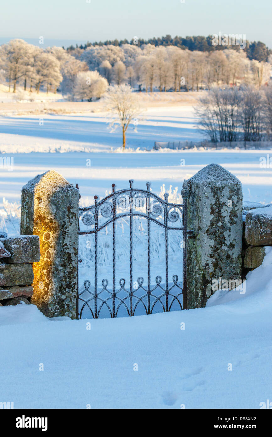 Frosty Tree Gate High Resolution Stock Photography and Images - Alamy