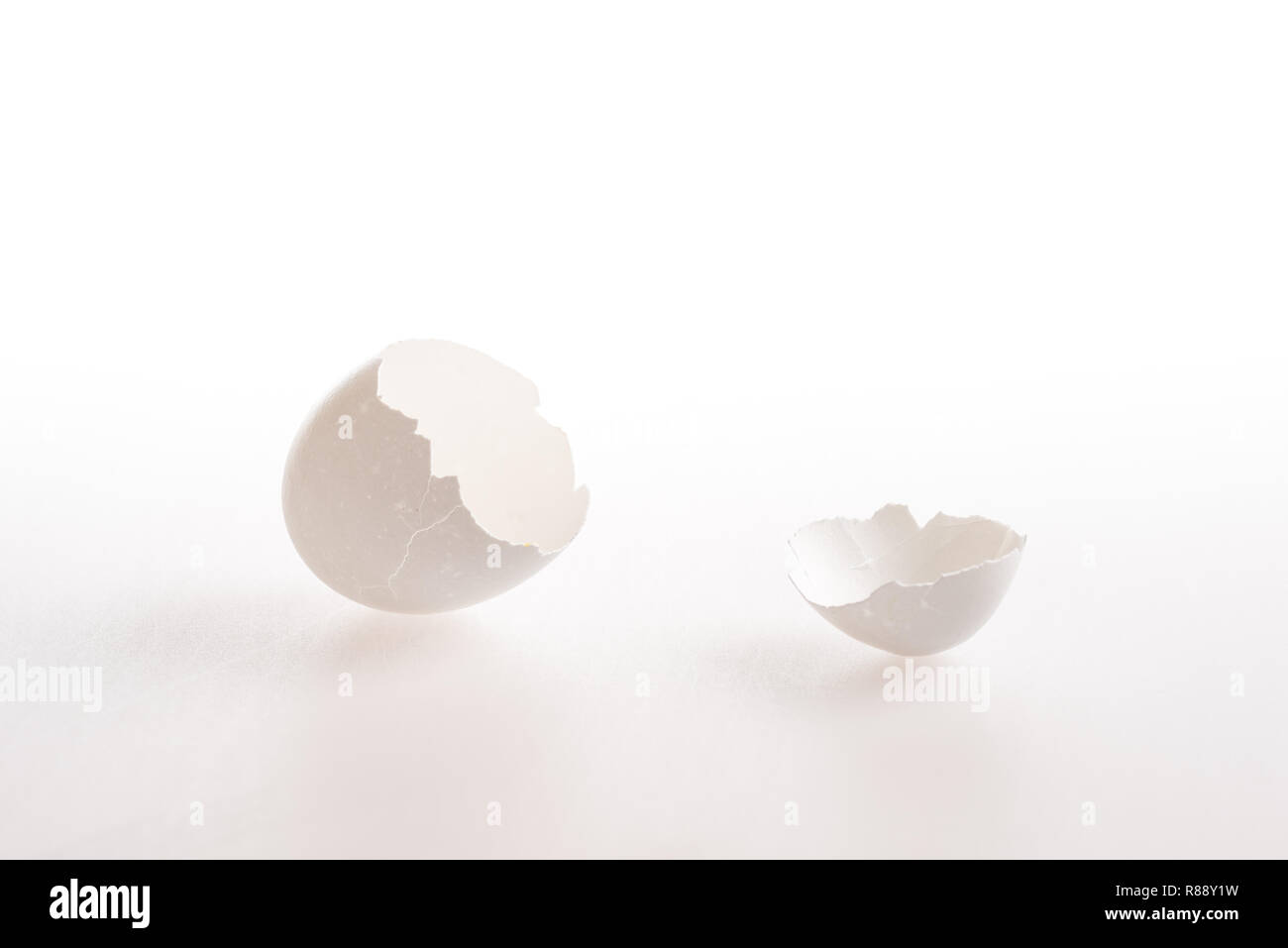 A broken white egg shell with cracks isolated on a white background and ...