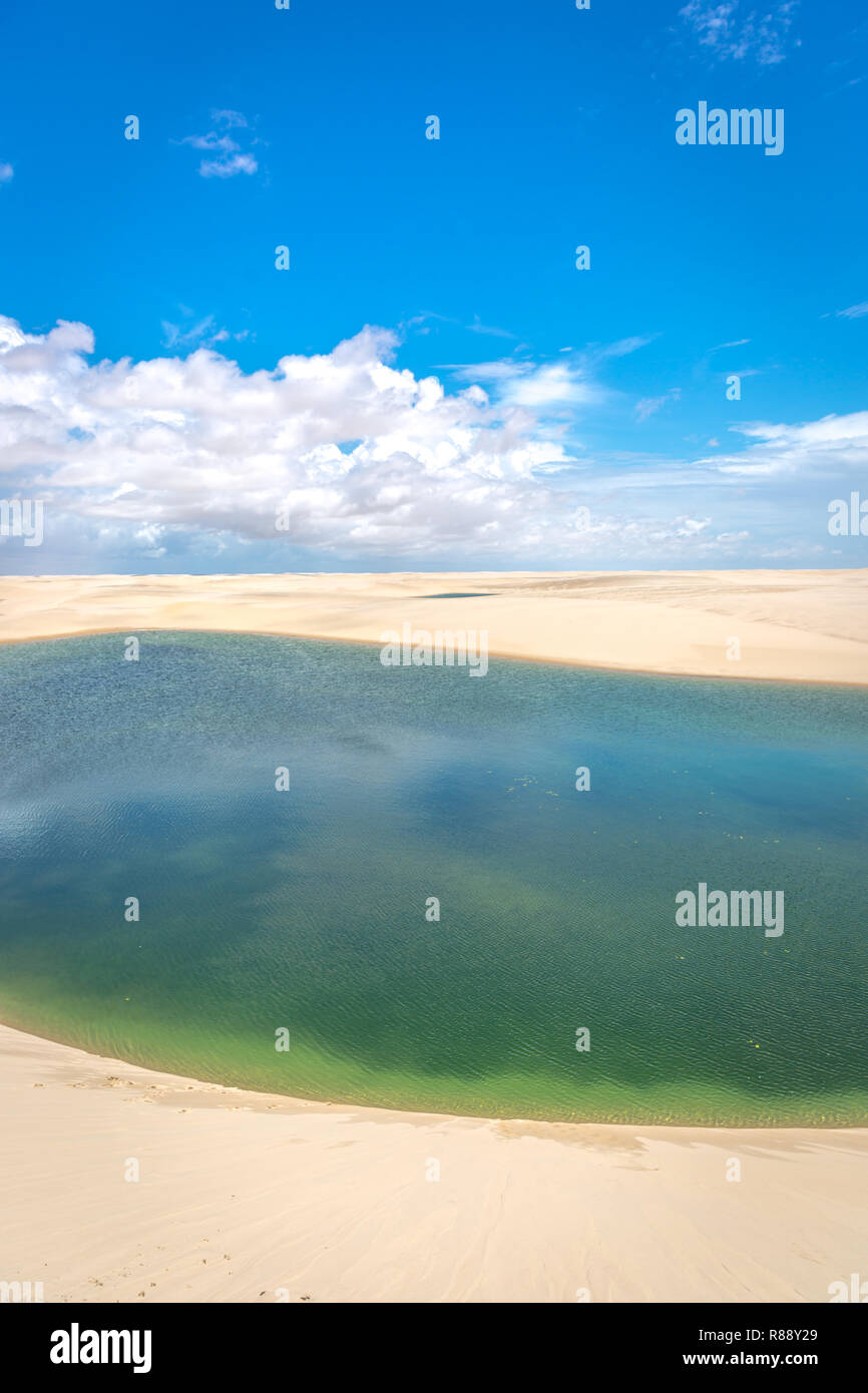 The green lagoon in northern Brazil Stock Photo - Alamy