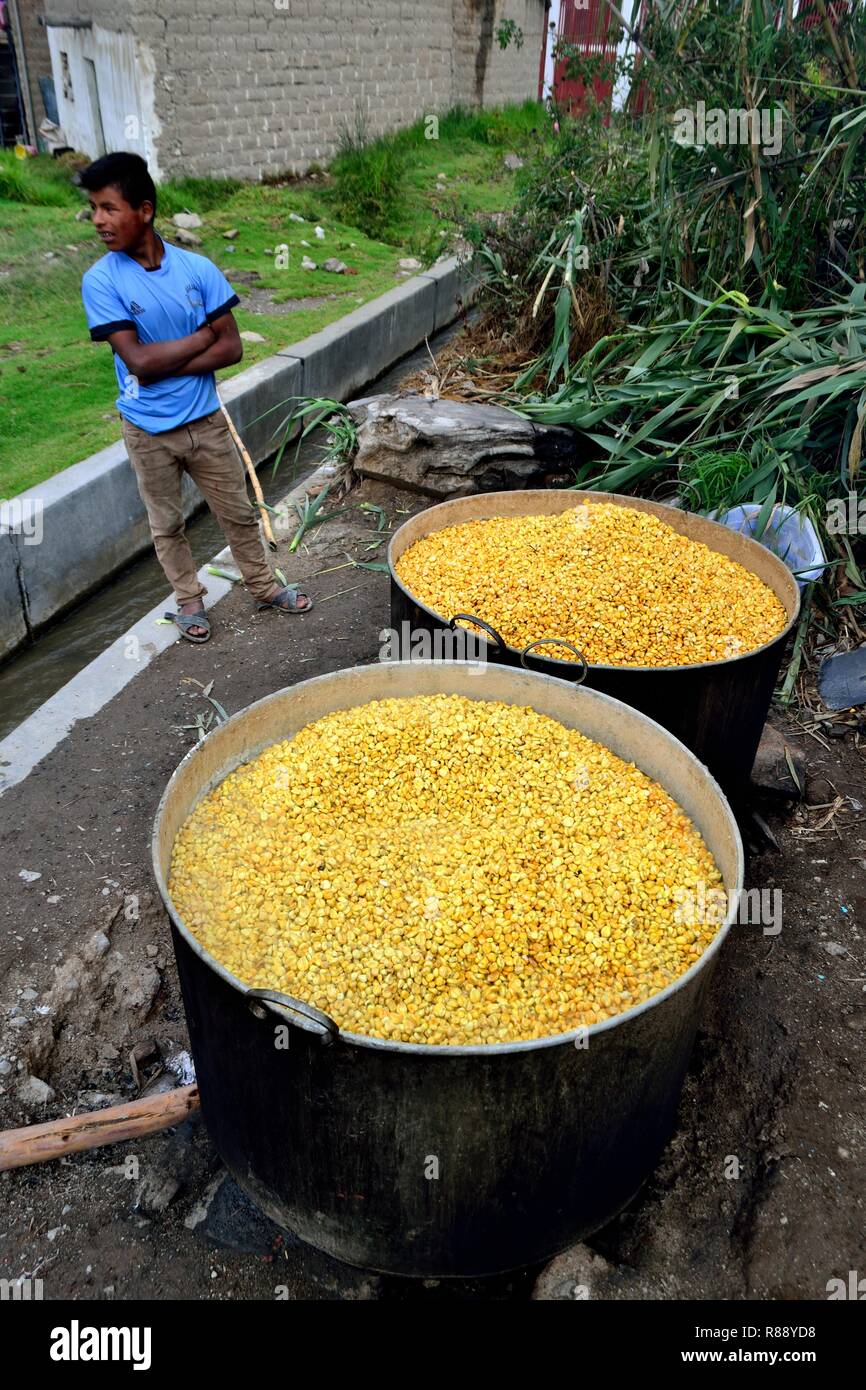 Cooking Cancha -Roasted corn grains in YUNGAY. Department of Ancash ...