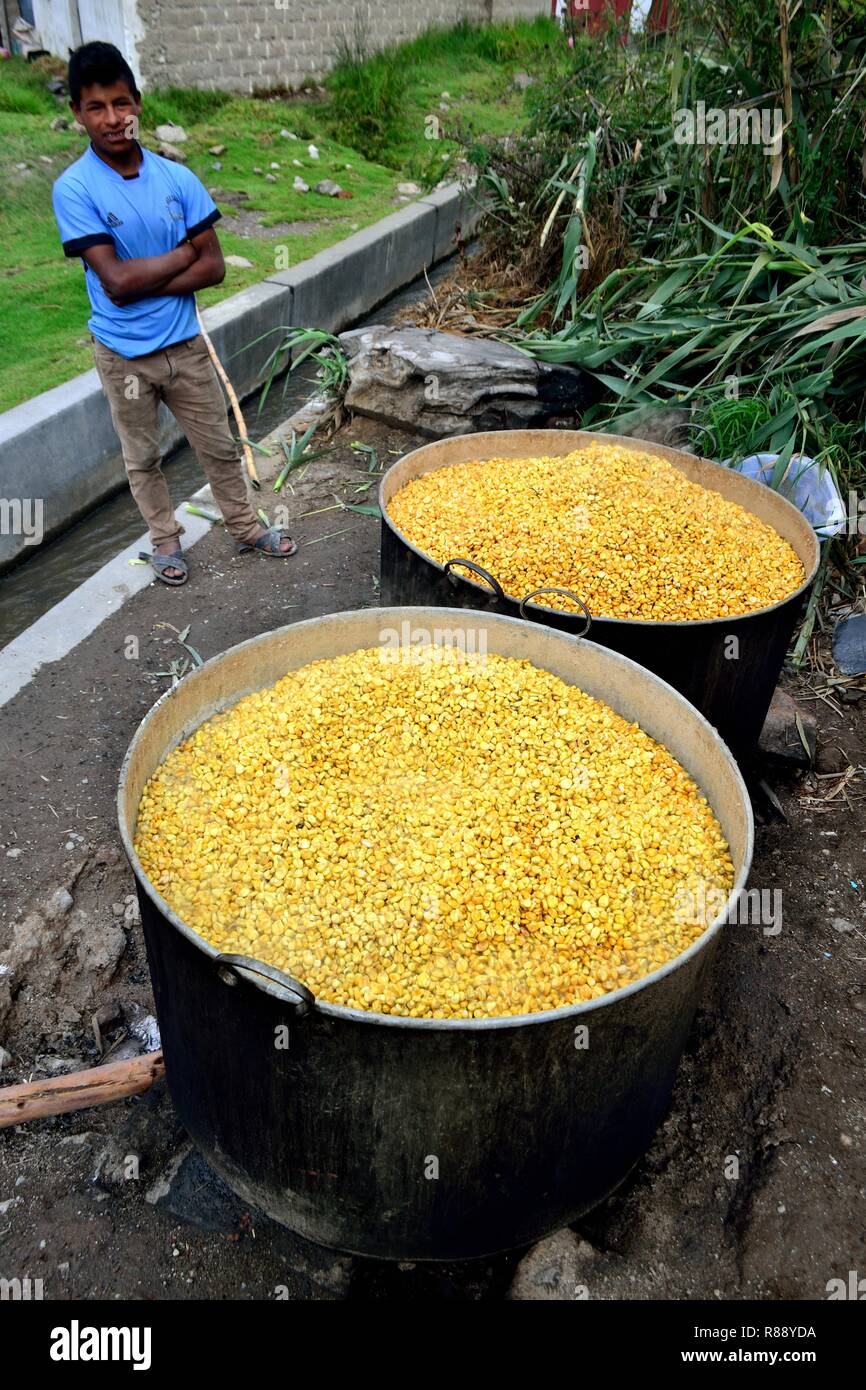 Cooking Cancha -Roasted corn grains in YUNGAY. Department of Ancash ...