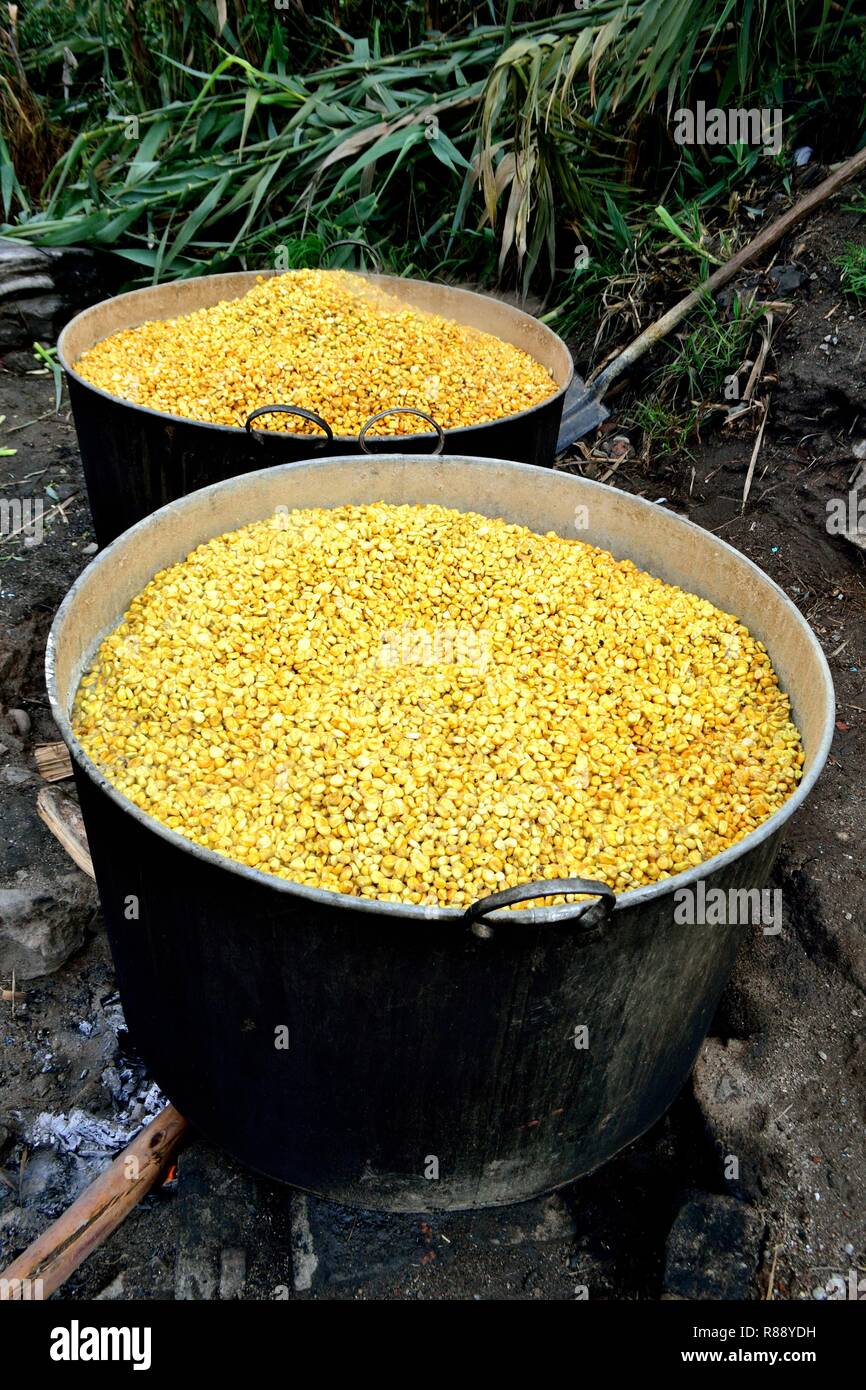 Cooking Cancha -Roasted corn grains in YUNGAY. Department of Ancash ...