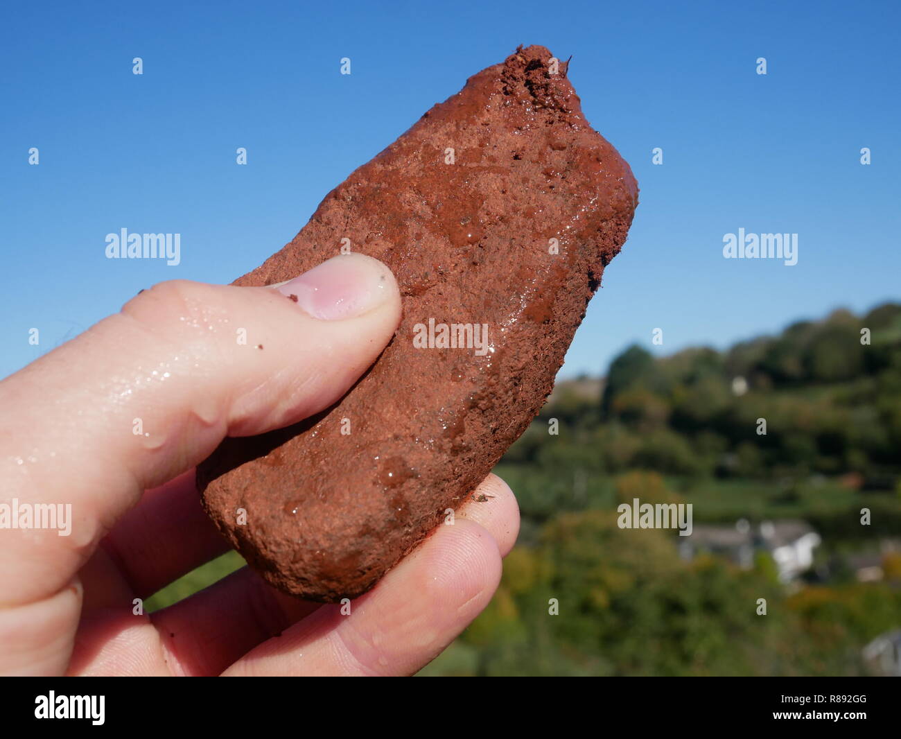 A typical red sandstone rock from Devonian soils near the town of ...