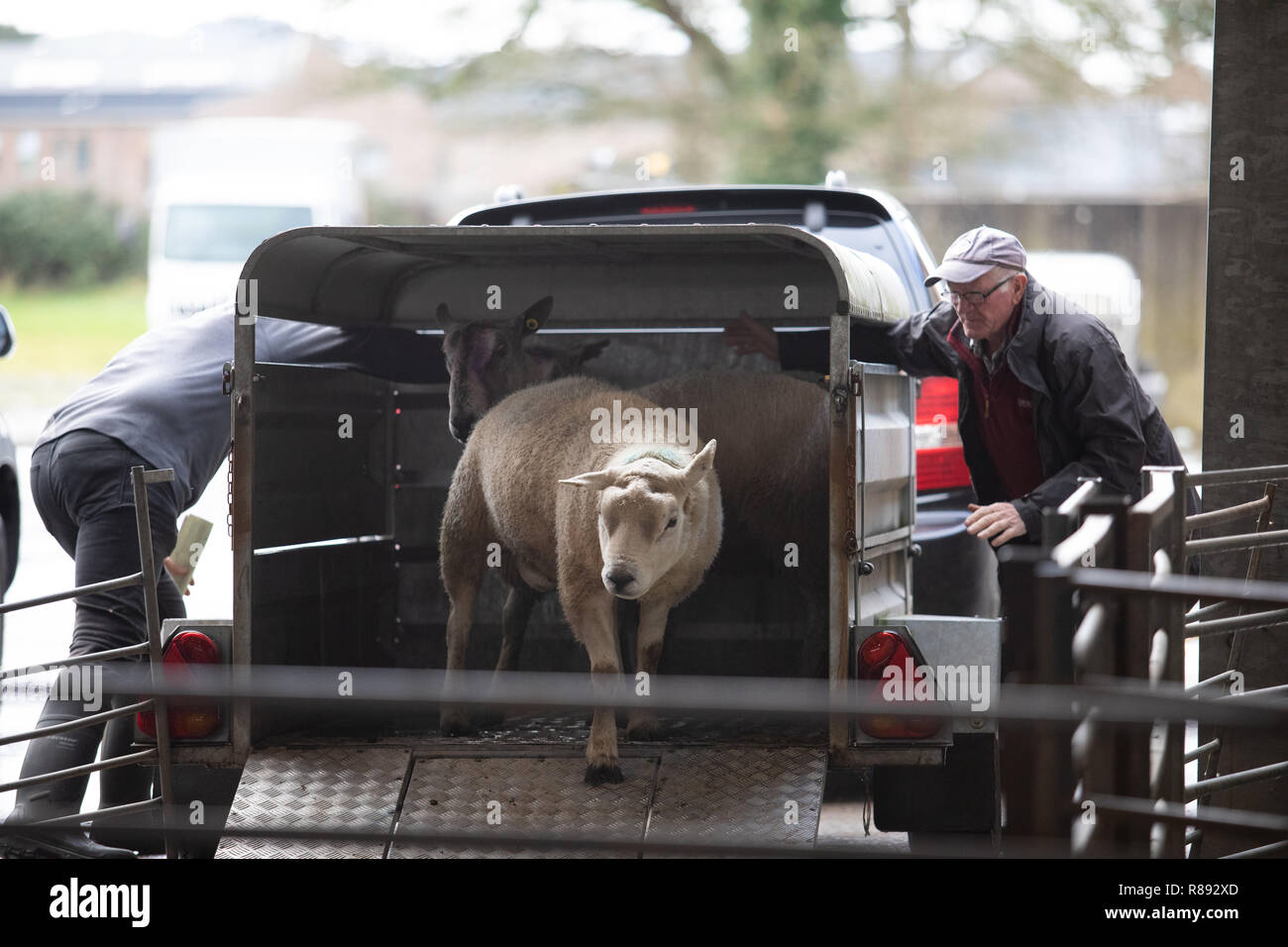 Welsh drovers hi-res stock photography and images - Alamy