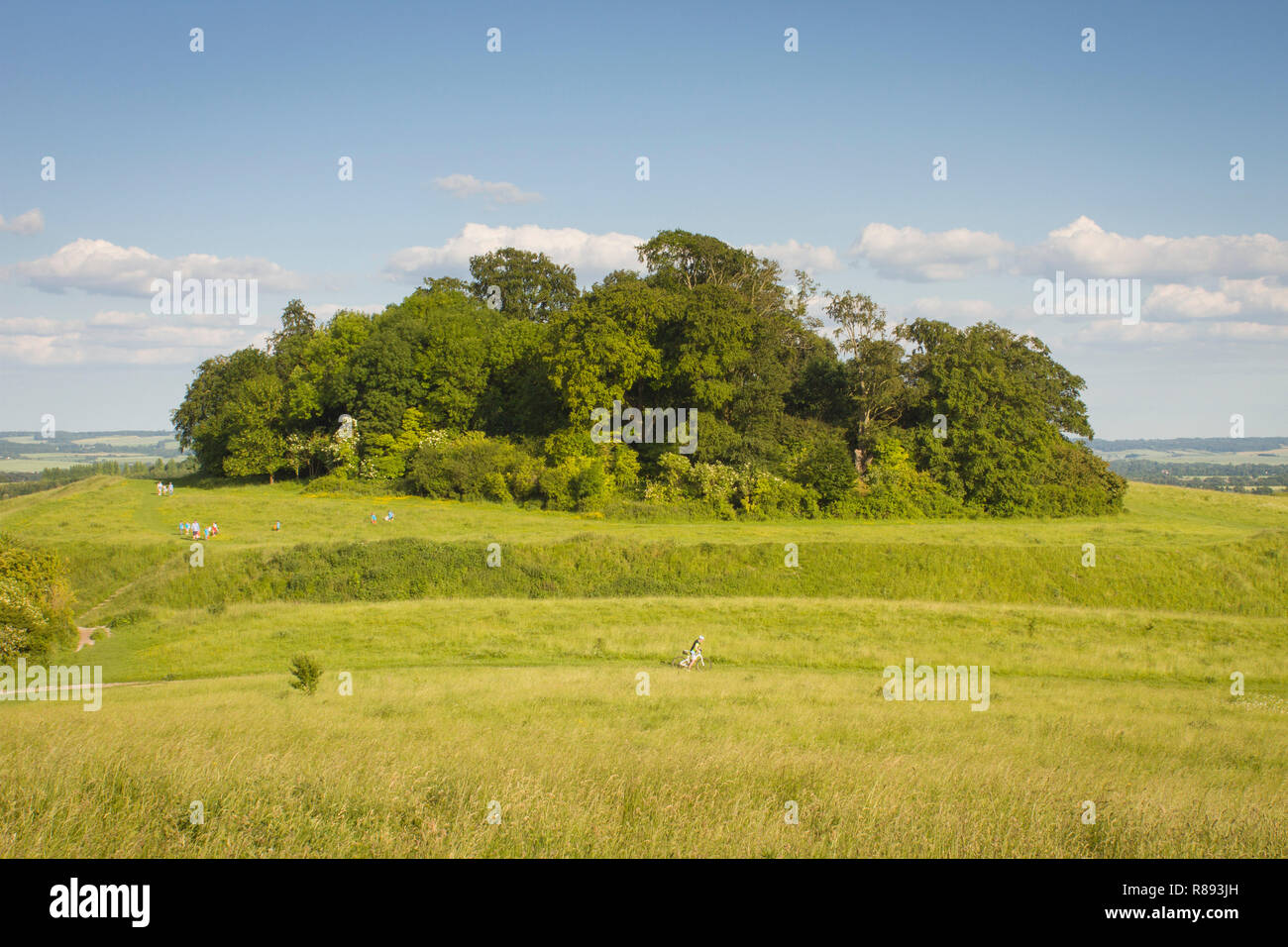 Wittenham clumps hi-res stock photography and images - Alamy