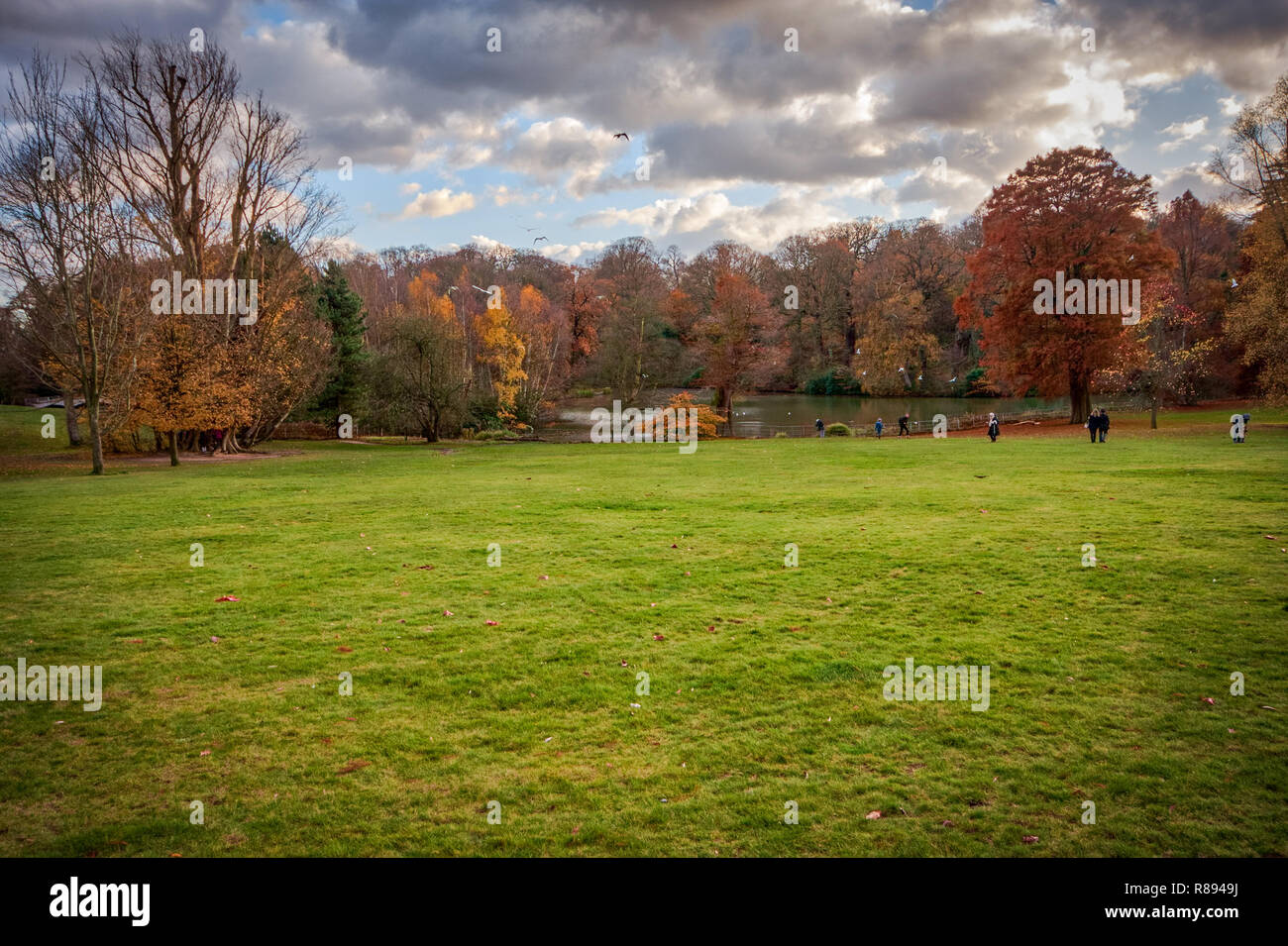 North London park Hampstead Heath on an autumn sunny day Stock Photo ...
