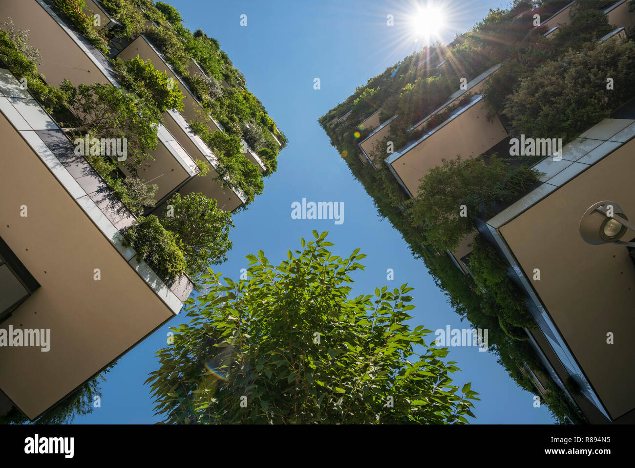 Horizontal view of the Bosco Verticale in Milan, Italy Stock Photo - Alamy