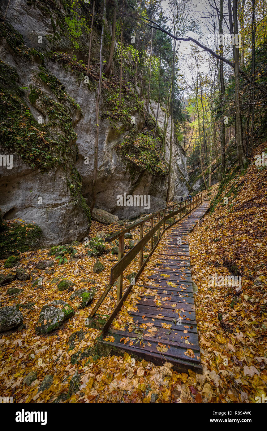 Myrafalls hi-res stock photography and images - Alamy