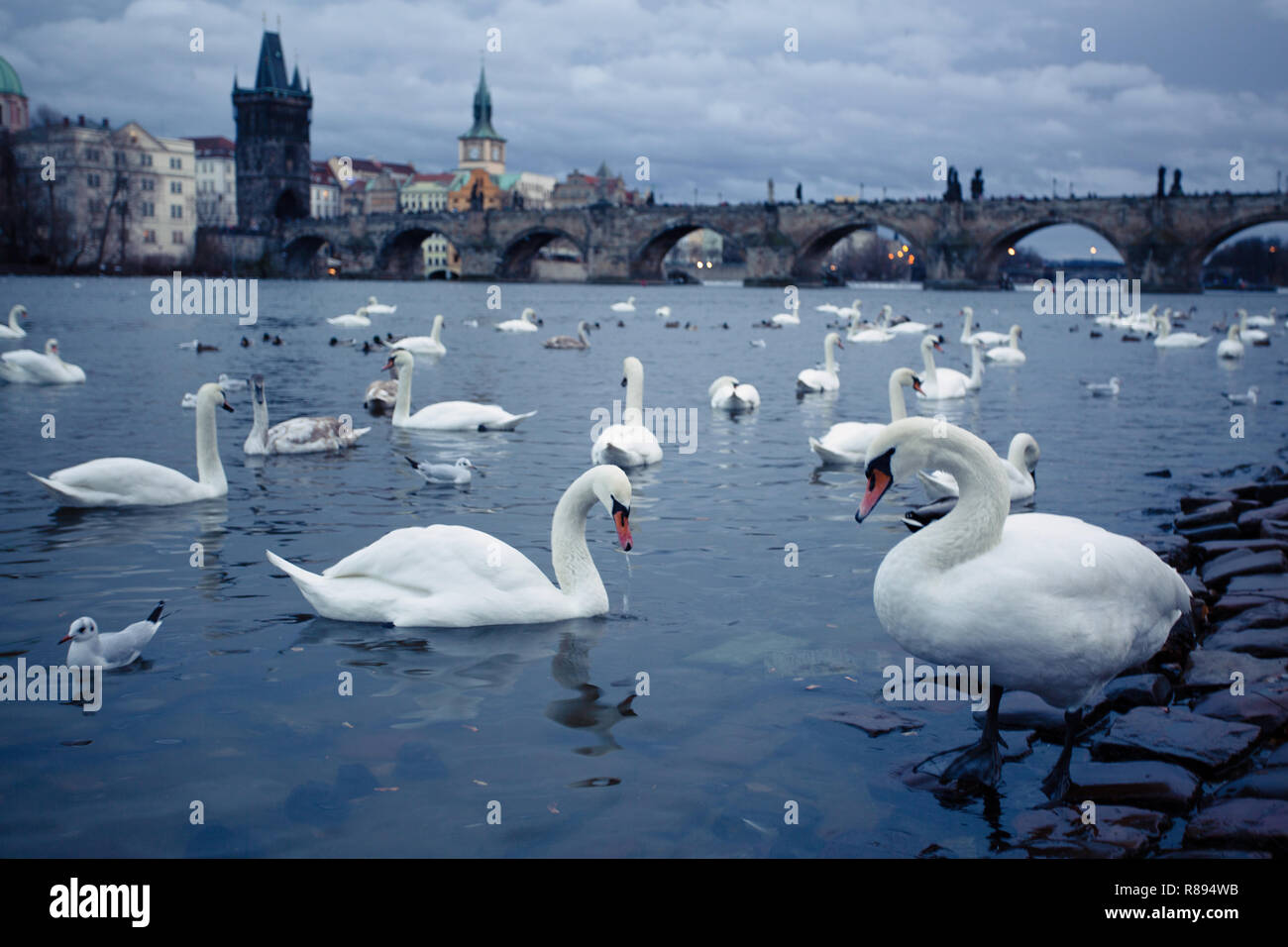 River horizontal hi-res stock photography and images - Alamy