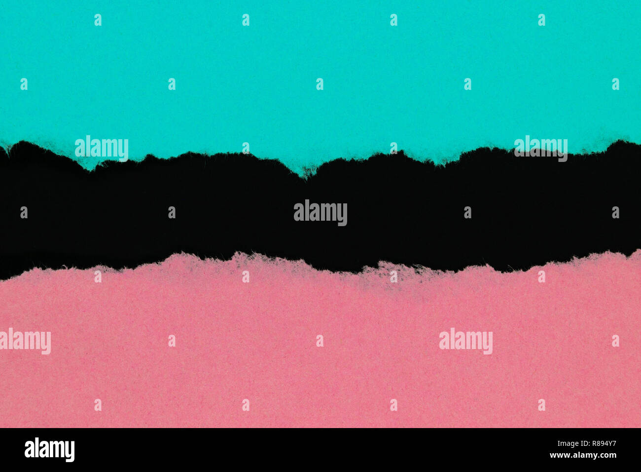 Light blue and pink ripped paper isolated on black background with copy ...