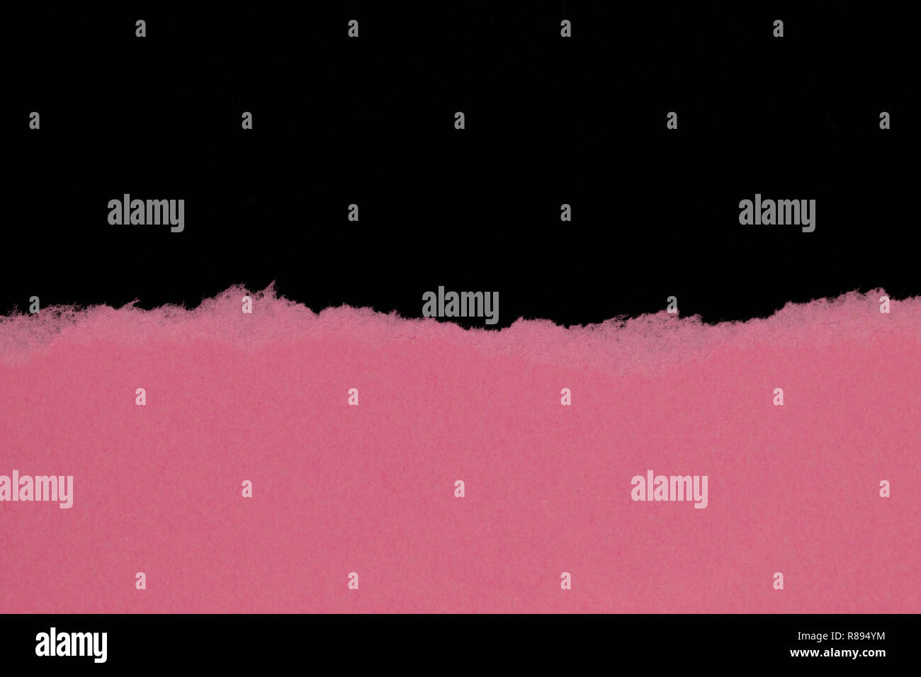 Pink ripped paper isolated on black background with copy space Stock ...