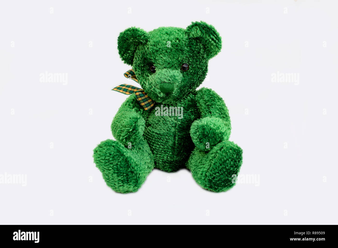 Green Teddy Bear