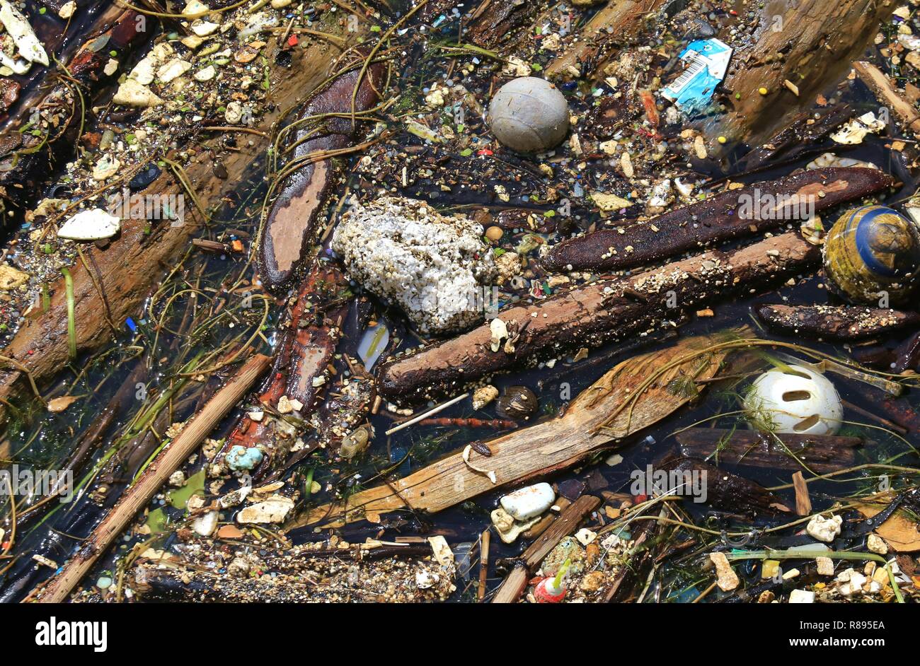 Garbage floating on the surface of the water Stock Photo - Alamy