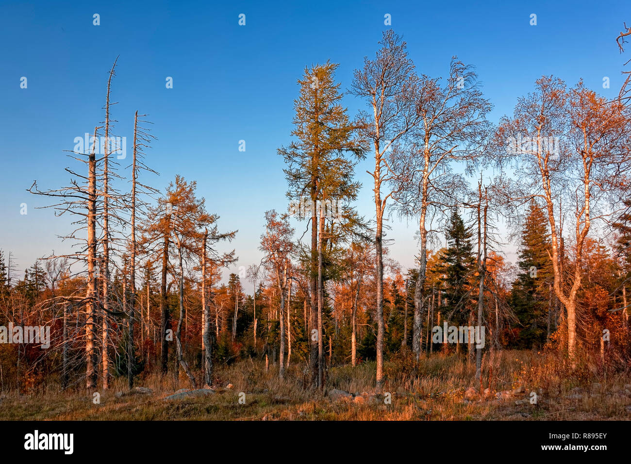 Autumn landscape view from the top of the mountain to the colorful ...