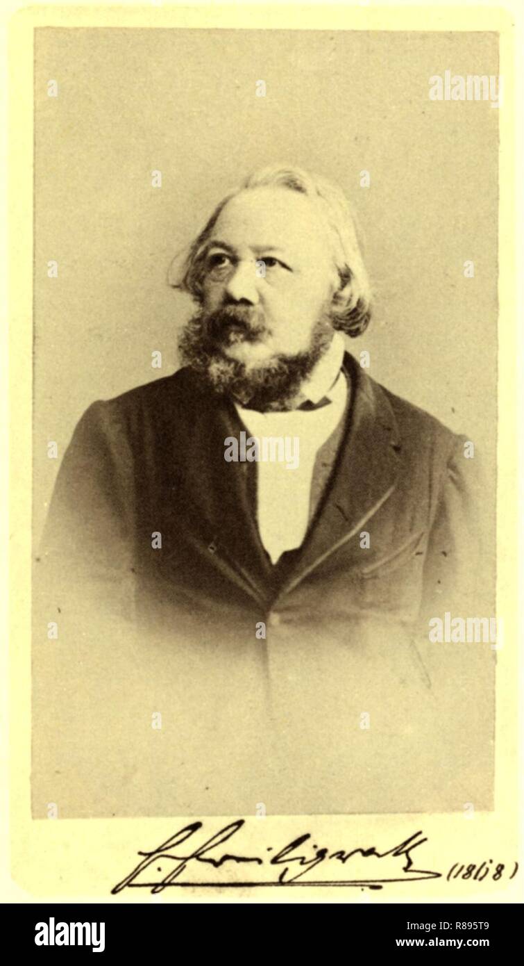 Carl Buchner – Fotografie Ferdinand Freiligrath 1868 Stock Photo - Alamy