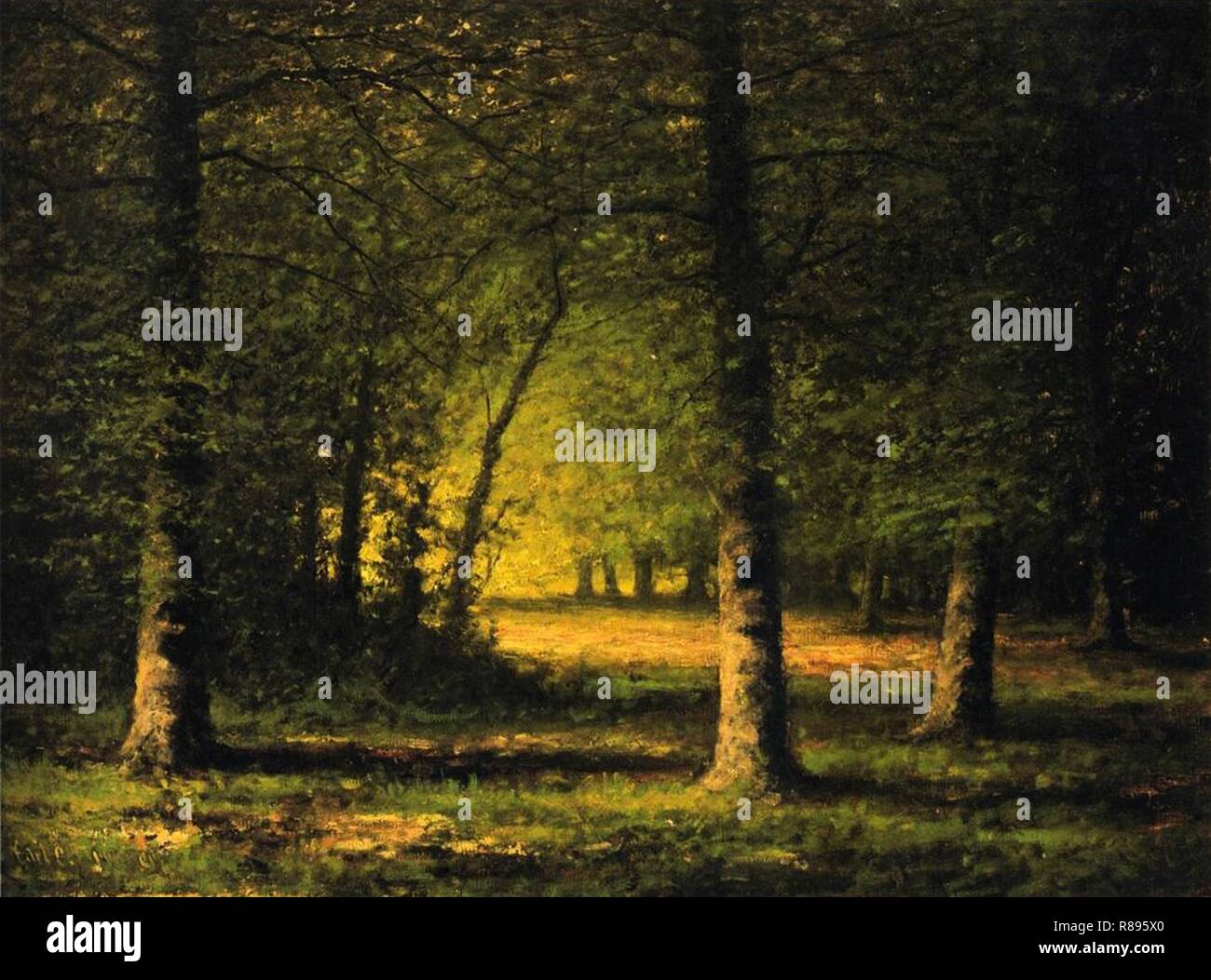 Carl Christian Brenner - Beech Trees Stock Photo - Alamy