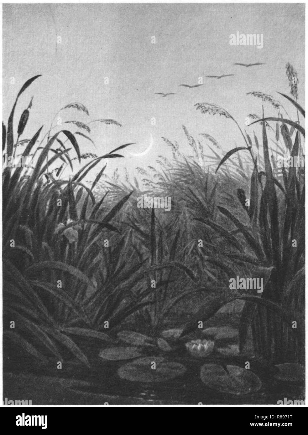 Abendstimmung Black and White Stock Photos & Images - Alamy