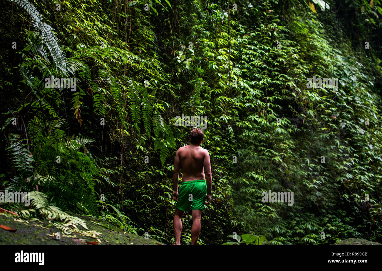 A tropical forest. Tourist stands on a path in the jungle Stock Photo ...