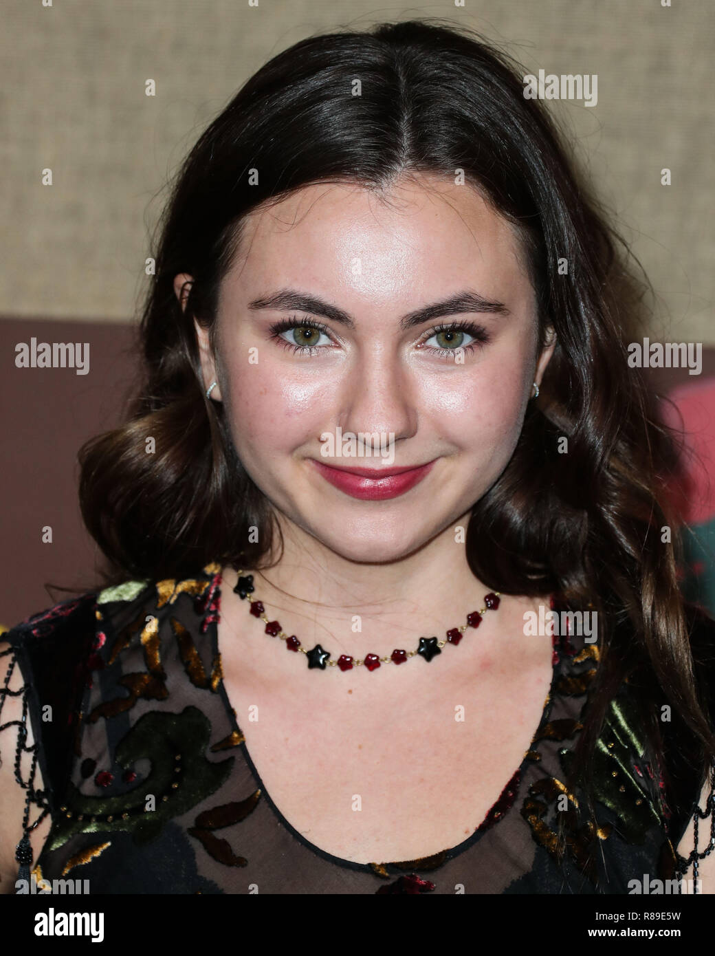 Wryn hi-res stock photography and images - Alamy