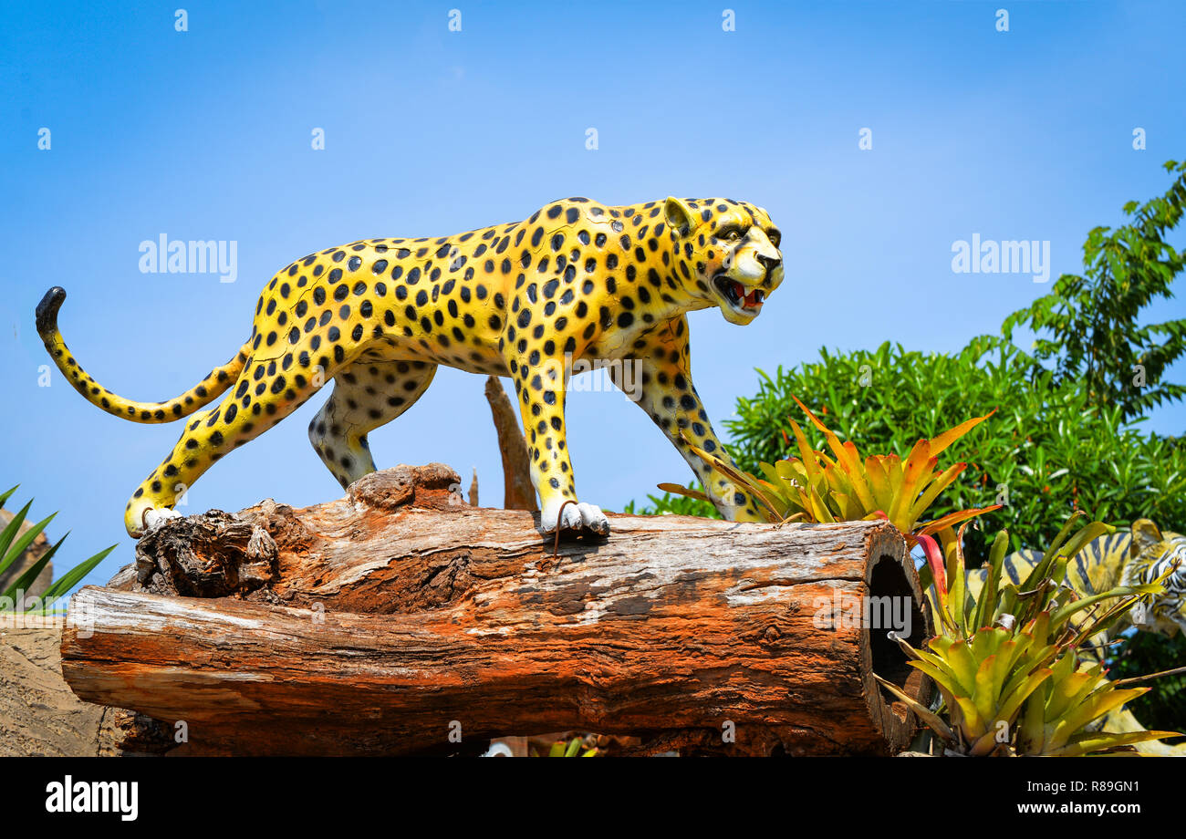 Timber tigers hi-res stock photography and images - Alamy