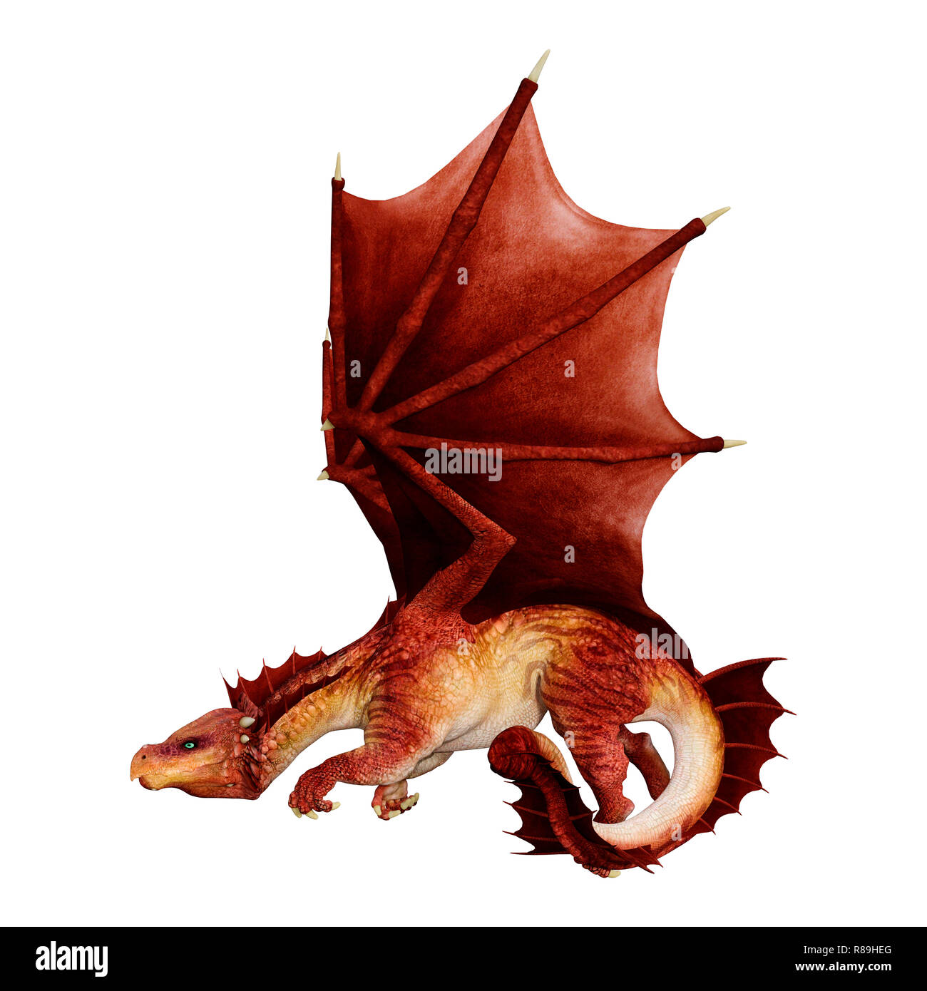 3D rendering of a red fantasy dragon isolated on white background Stock ...