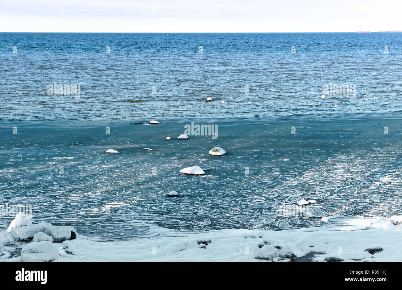 ice sludge in the sea, snow mush in the sea water Stock Photo - Alamy