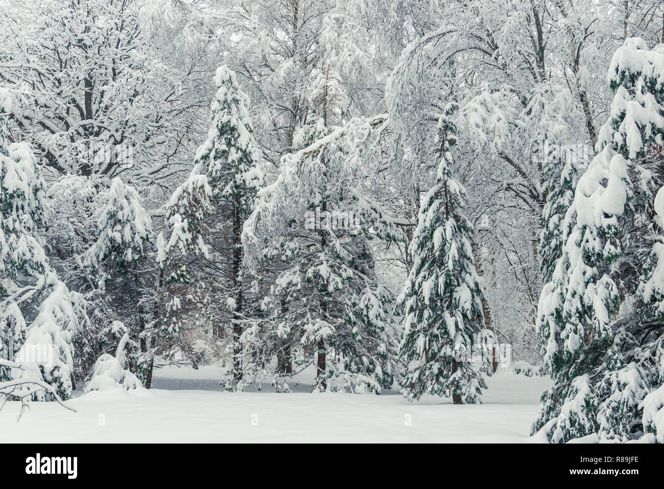 Horizontal winter landscape hi-res stock photography and images - Alamy