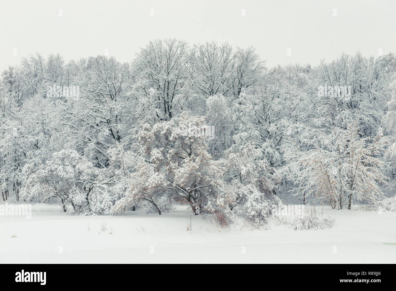 Sinking into snow hi-res stock photography and images - Alamy