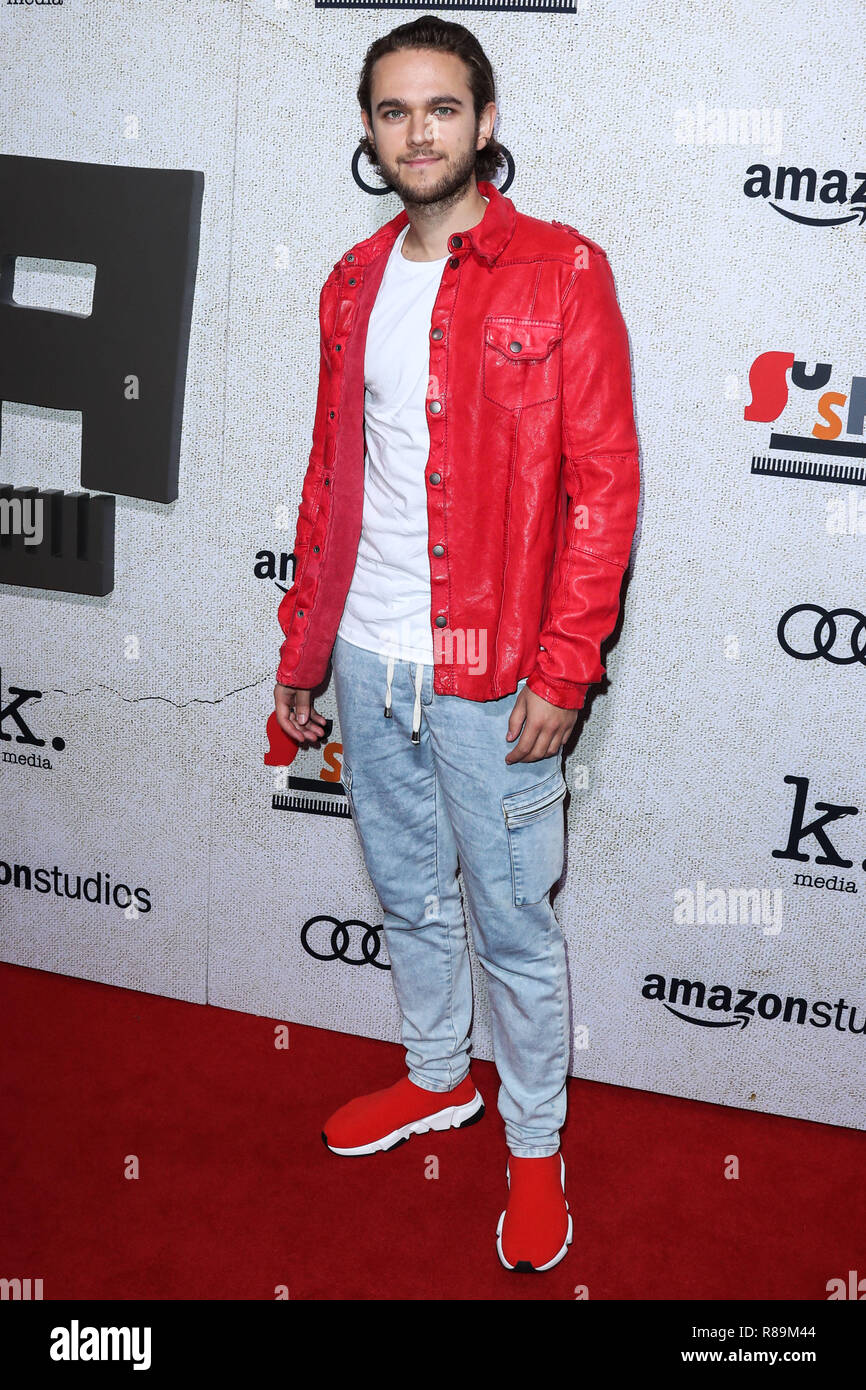 HOLLYWOOD, LOS ANGELES, CA, USA - OCTOBER 24: DJ/Producer Zedd aka ...
