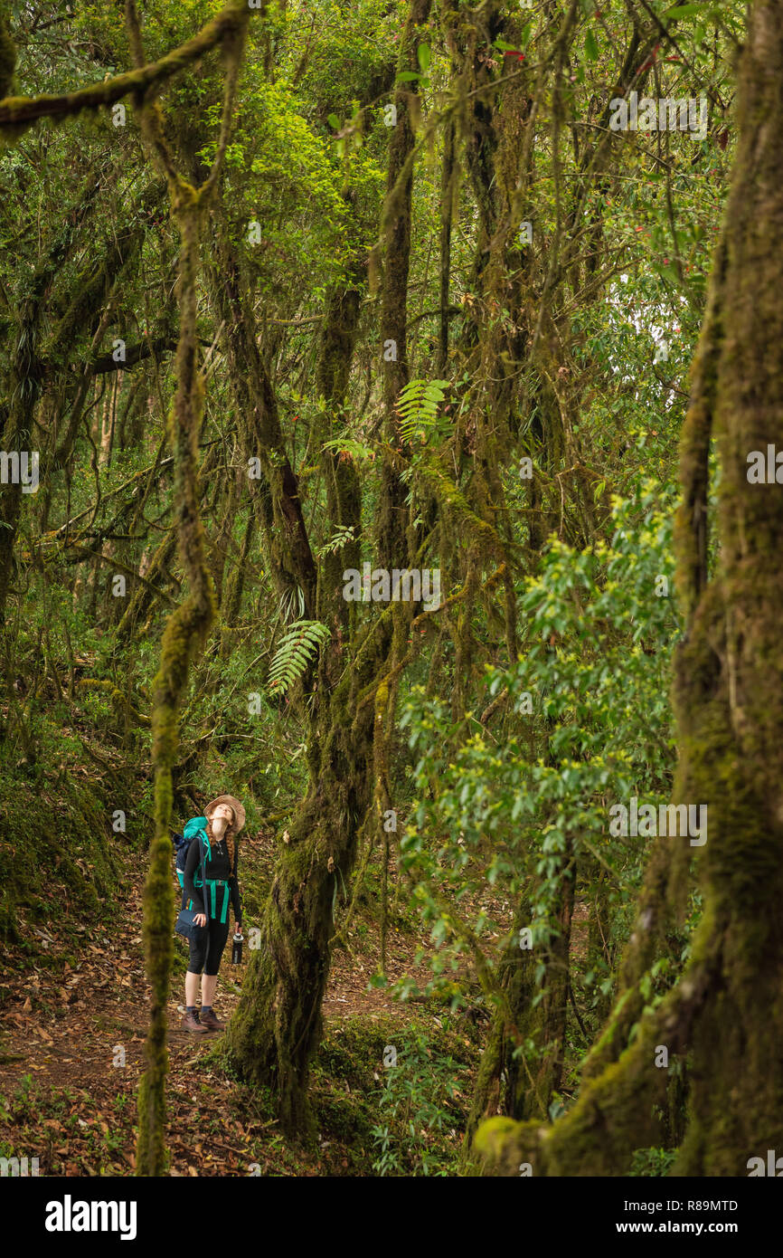 Nepali jungle hi-res stock photography and images - Alamy