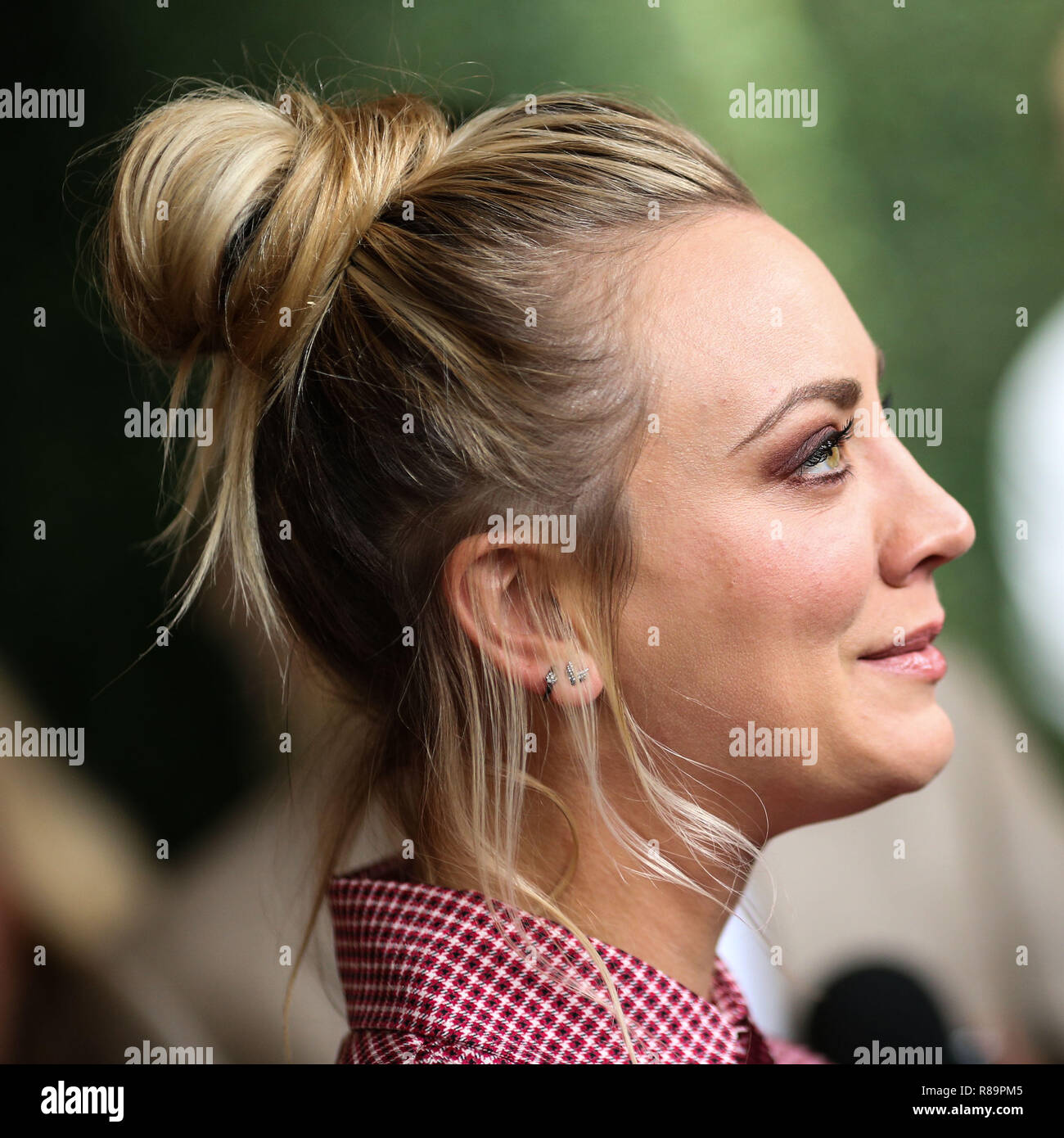 Kaley Cuoco The Santa Simulation