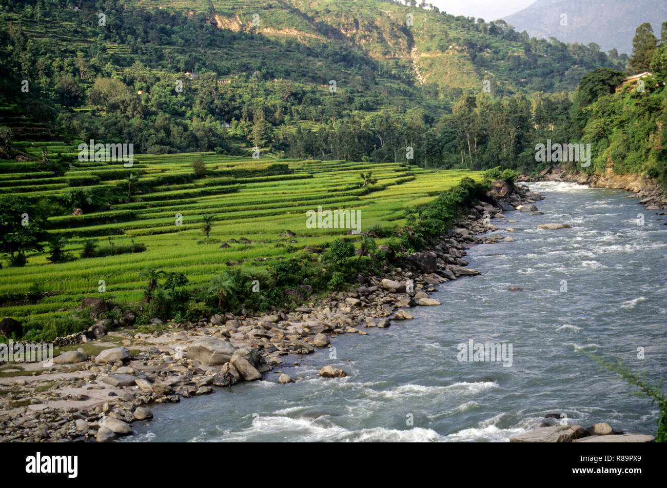 mandakini river, Garhwal, uttaranchal, india Stock Photo - Alamy