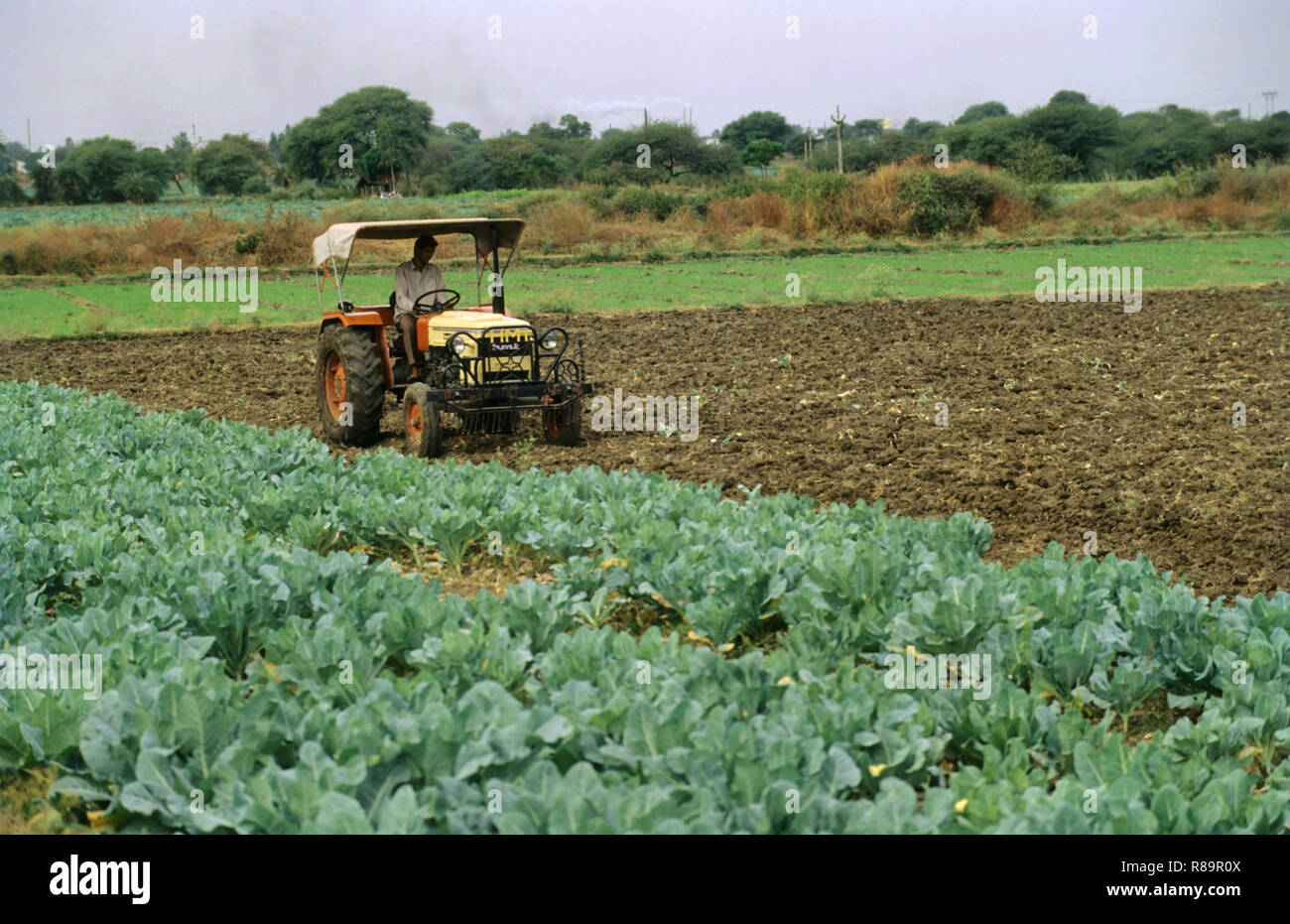 Farmer ploughing field with tractor, india Stock Photo - Alamy
