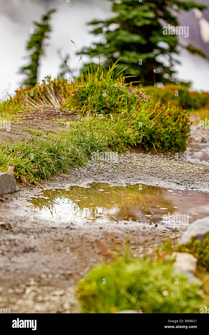 Puddles along hiking trail hi-res stock photography and images - Alamy