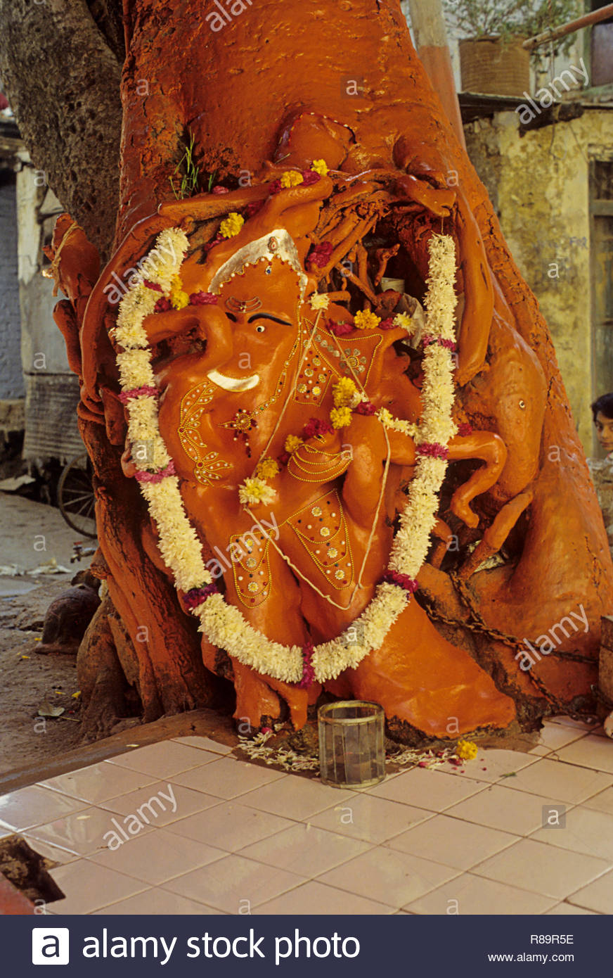 Wisdom Tree High Resolution Stock Photography and Images - Alamy